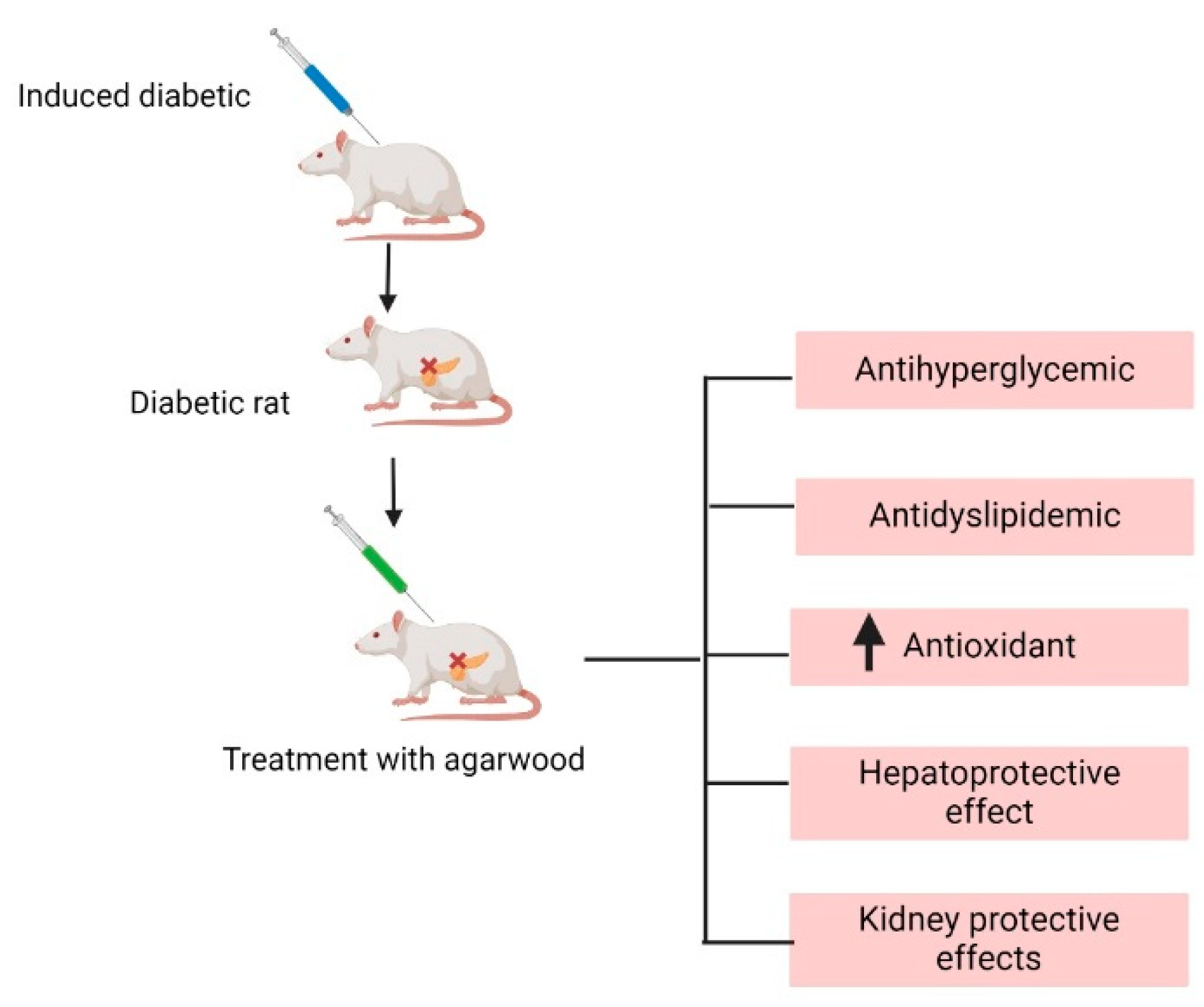 The Potential Therapeutic Use of Agarwood for Diabetes: A Scoping Review