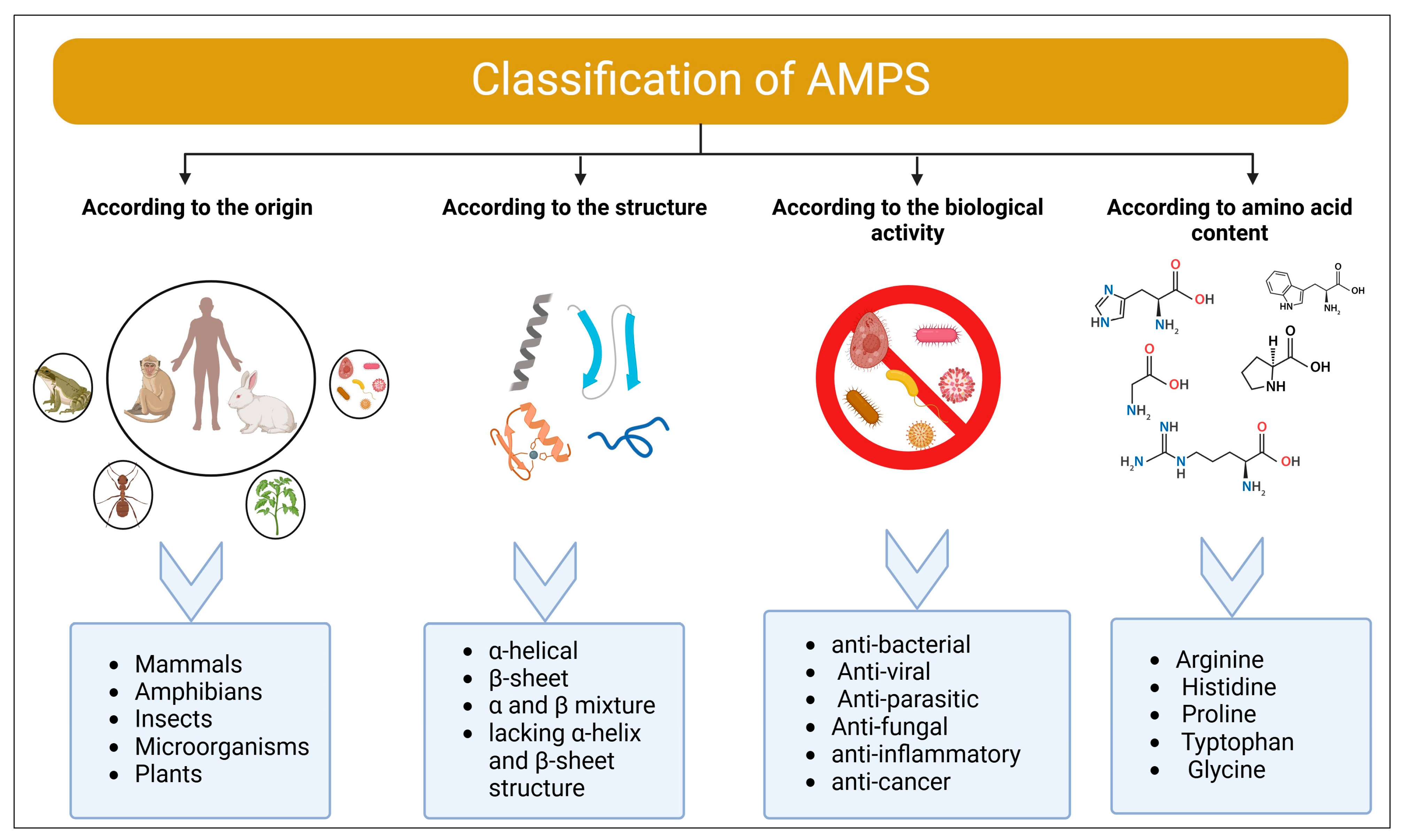 Antimicrobial Peptides: The Game-Changer in the Epic Battle Against Multidrug-Resistant Bacteria