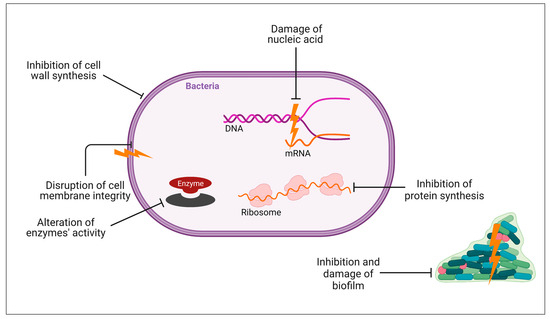 Antimicrobial Peptides: The Game-Changer in the Epic Battle Against ...