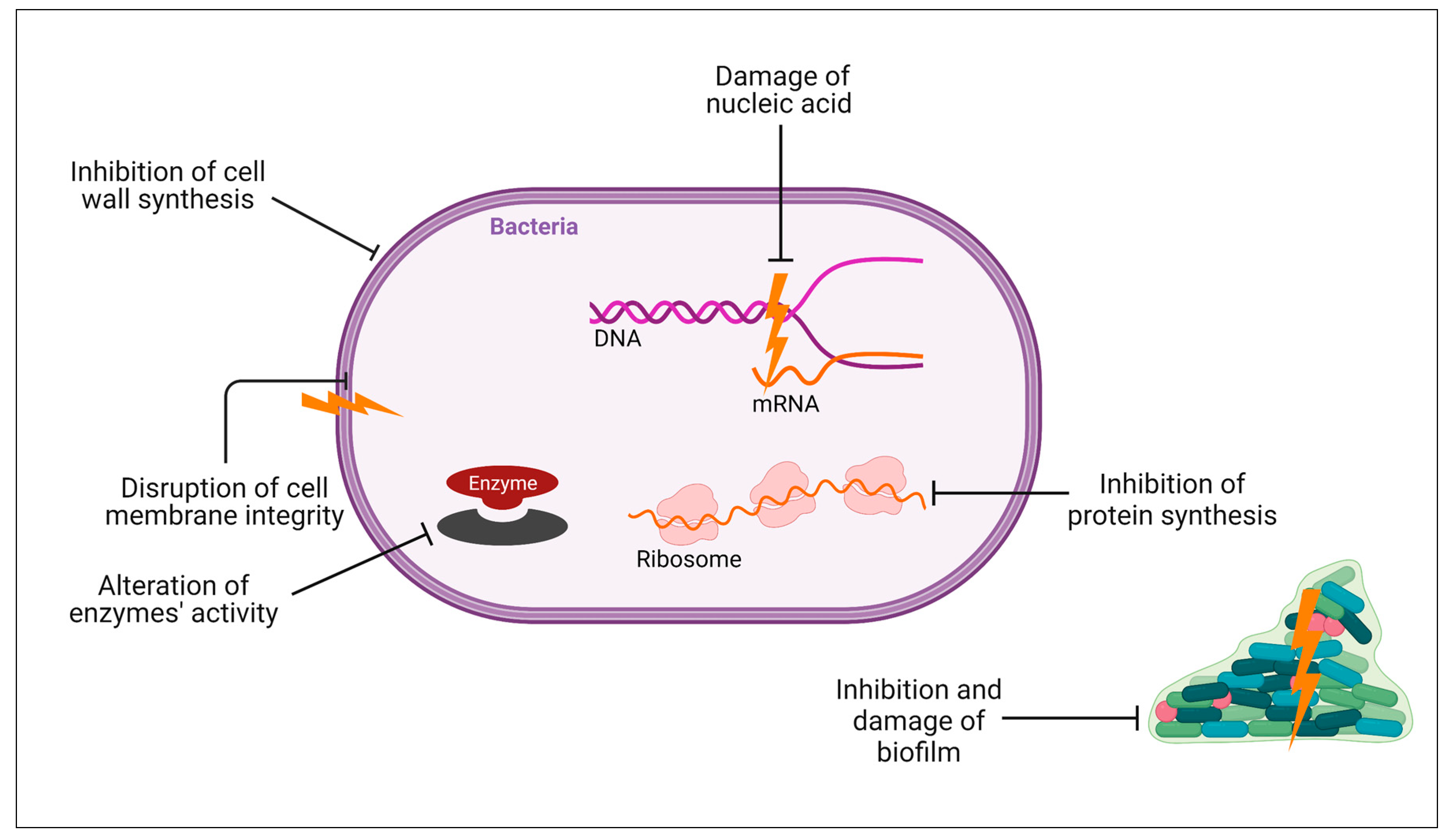 Antimicrobial Peptides: The Game-Changer in the Epic Battle Against ...