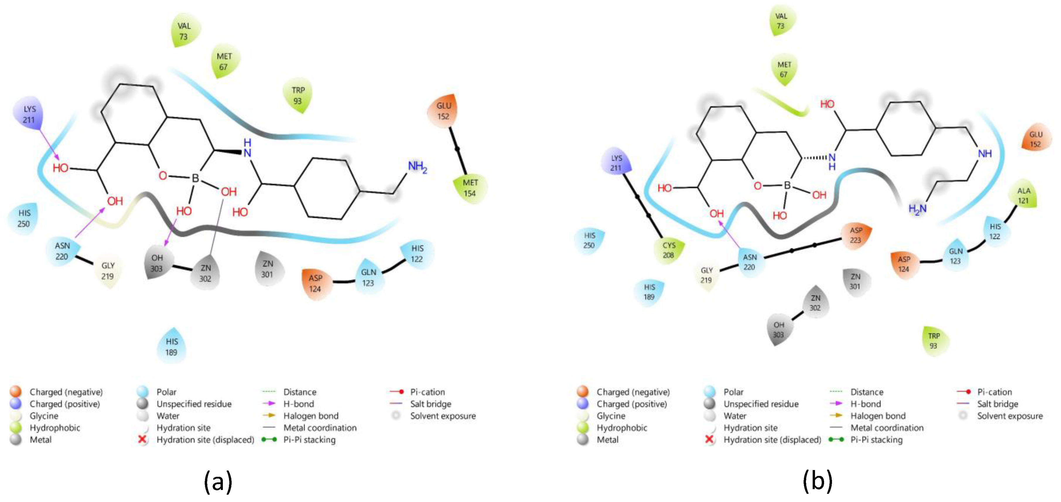In Silico Evaluation of Potential NDM-1 Inhibitors: An Integrated Docking and Molecular Dynamics ...