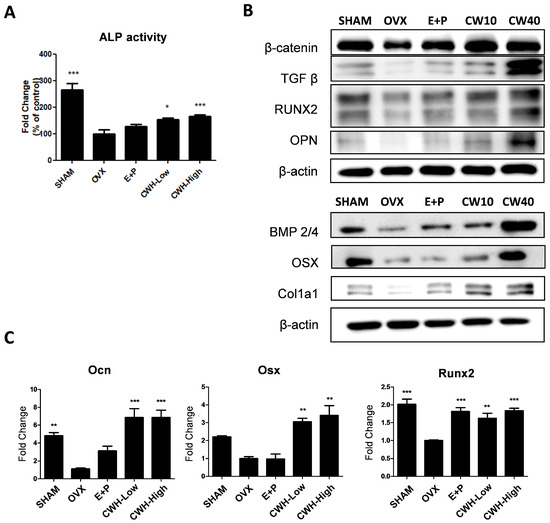 Exploring the Anti-Osteoporotic Effects of n-Hexane Fraction from ...