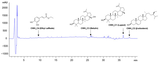 Exploring the Anti-Osteoporotic Effects of n-Hexane Fraction from ...