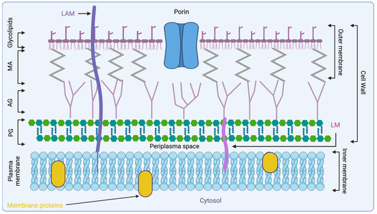 Targeting the Heart of Mycobacterium: Advances in Anti-Tubercular ...