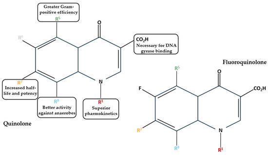 Fluoroquinolone-Mediated Tendinopathy and Tendon Rupture