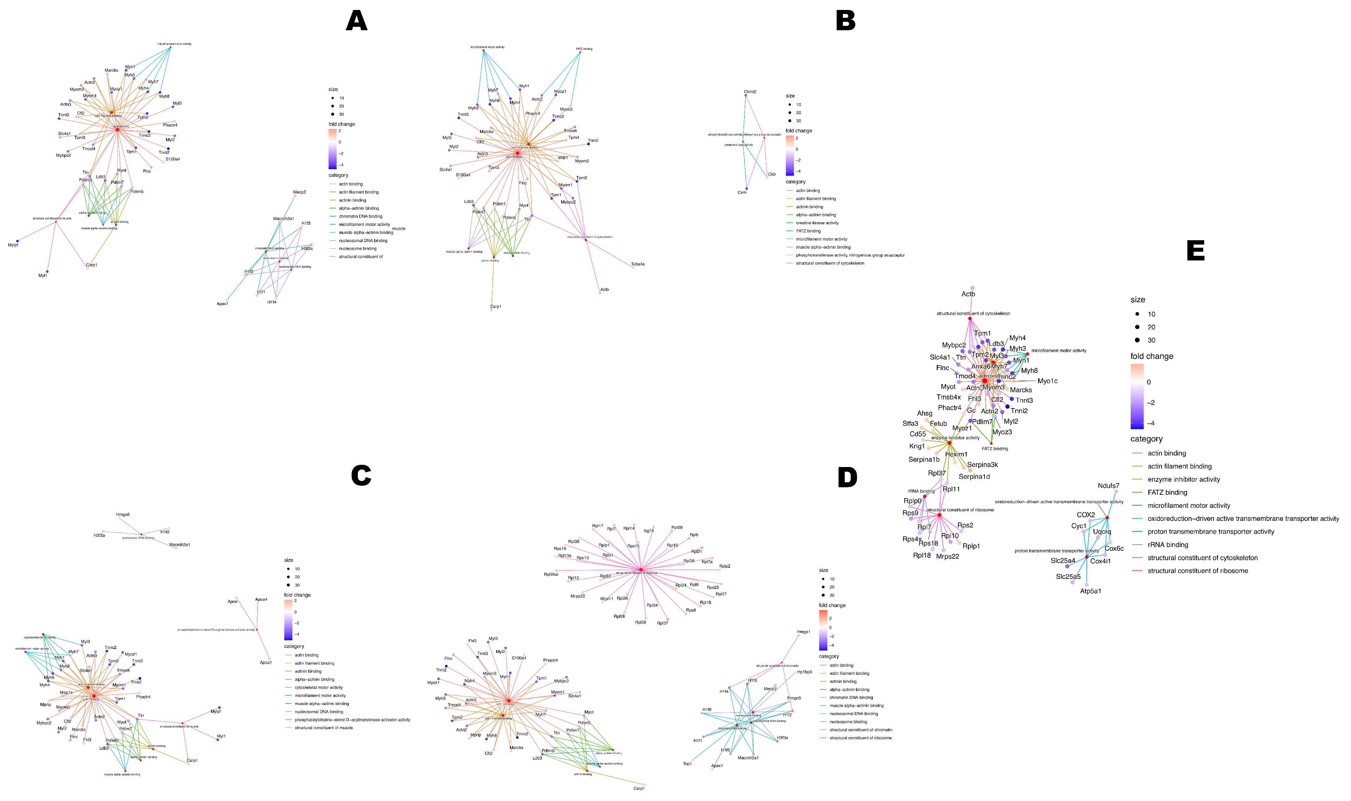 Quantitative Proteomics and Molecular Mechanisms of Non-Hodgkin Lymphoma Mice Treated with ...