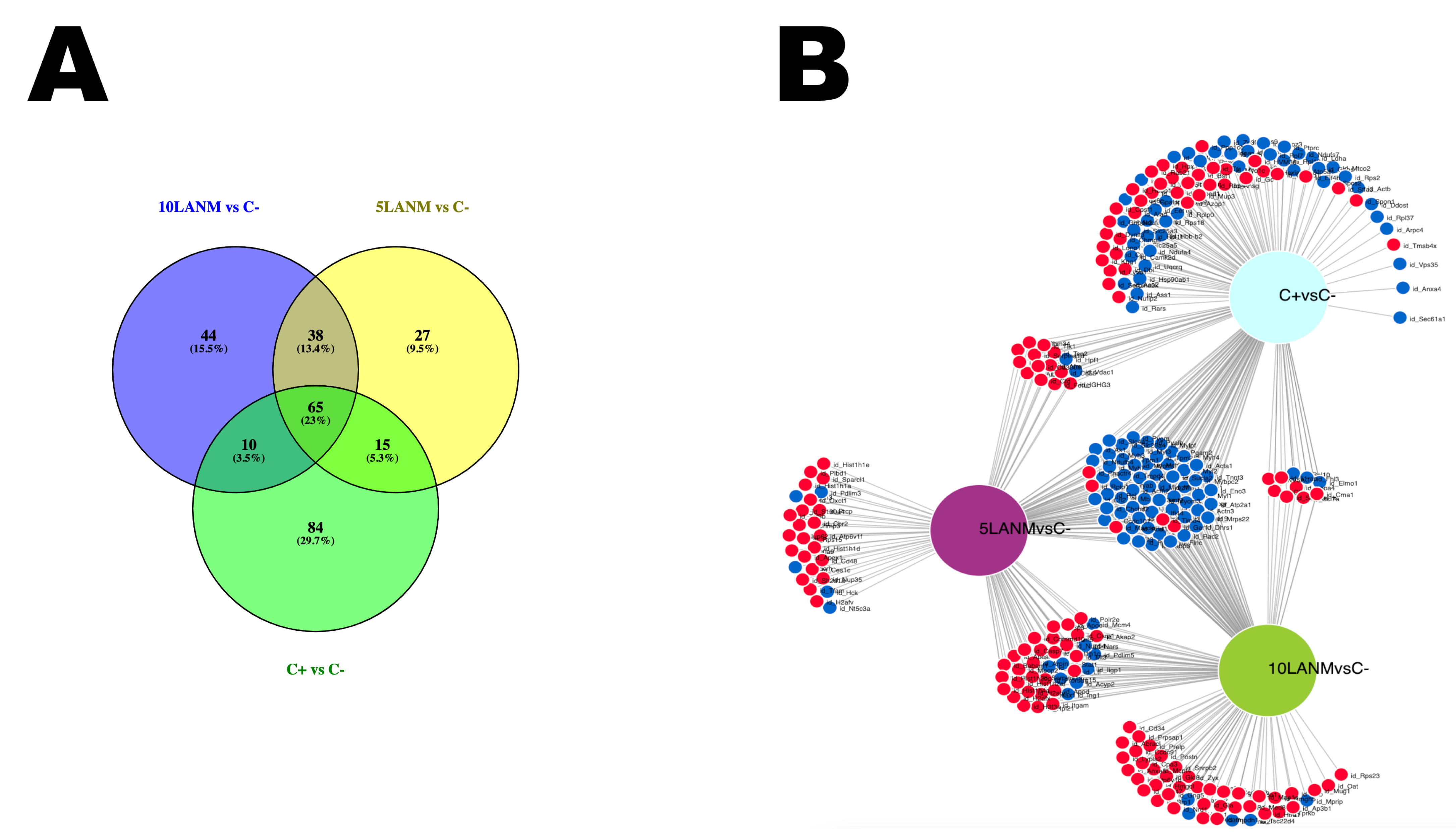 Quantitative Proteomics and Molecular Mechanisms of Non-Hodgkin Lymphoma Mice Treated with ...