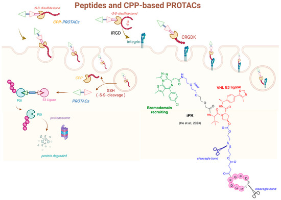 Prodrug Approach as a Strategy to Enhance Drug Permeability