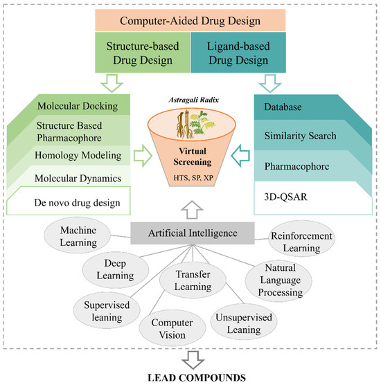 From Traditional Efficacy to Drug Design: A Review of Astragali Radix
