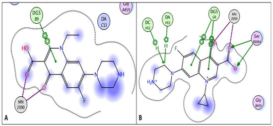 Design, Synthesis, and In Silico Studies of New Norfloxacin Analogues with Broad Spectrum ...