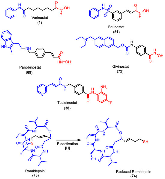 Drug Discovery for Histone Deacetylase Inhibition: Past, Present and ...