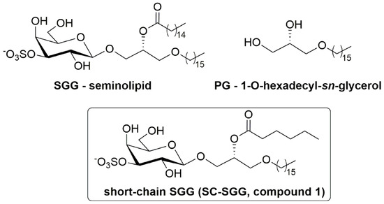 A Short-Chain Analogue of Seminolipid: Synthesis and Inhibitory Effect ...