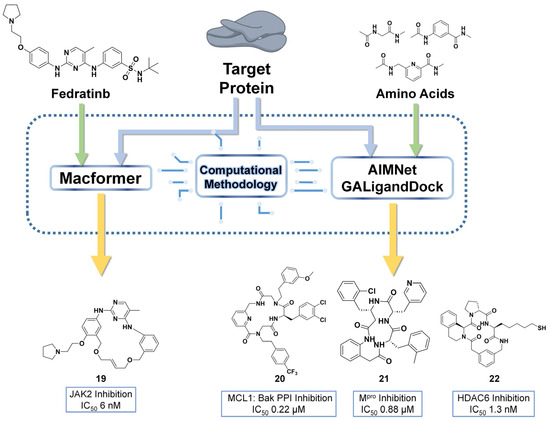 Exploring Macrocyclic Chemical Space: Strategies and Technologies for Drug Discovery