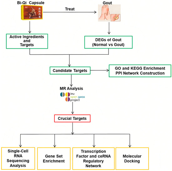 Exploring Therapeutic Potential of Bi-Qi Capsules in Treatment of Gout ...