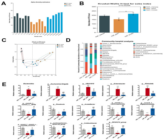 Yinchenhao Decoction Mitigates Cholestatic Liver Injury in Mice via Gut ...
