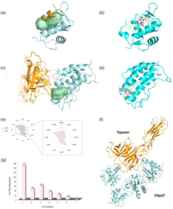 Target Mapping in Cancer: Ligandable Protein Pockets on 3D OncoPPI Networks