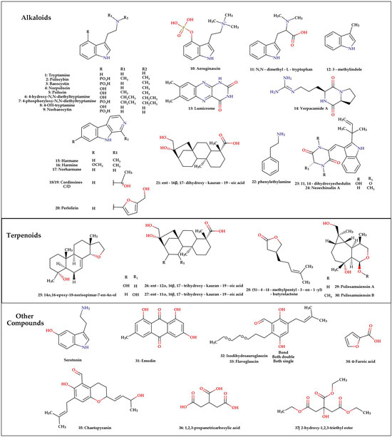 Chemical Composition and Biological Activities of Psilocybe Mushrooms ...