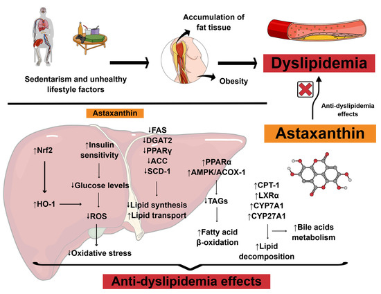 Assessing the Effects of Moderate to High Dosage of Astaxanthin Supplementation on Lipid Profile ...