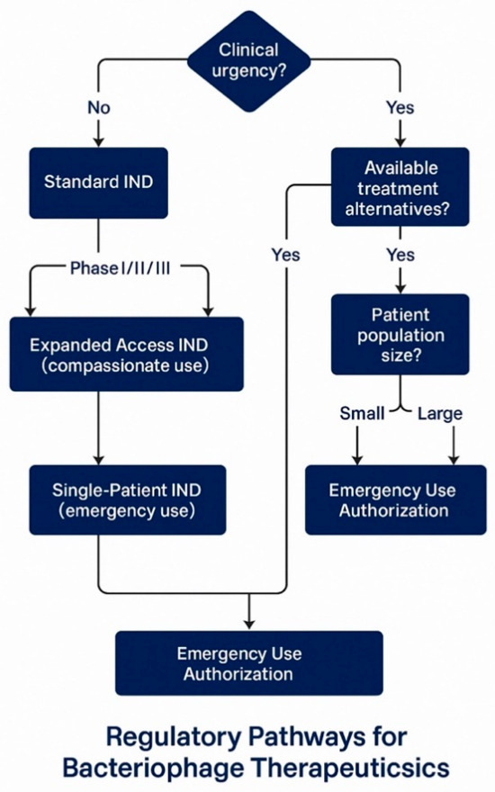 Bacteriophage Therapy: Discovery, Development, and FDA Approval Pathways
