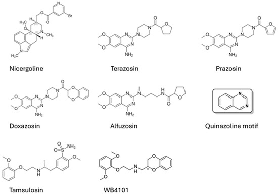 α1A-Adrenergic Receptor as a Target for Neurocognition: Cautionary Tale ...