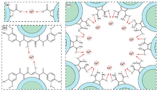 Polymeric Nanoparticles with Surface-Anchored Functional Groups as ...