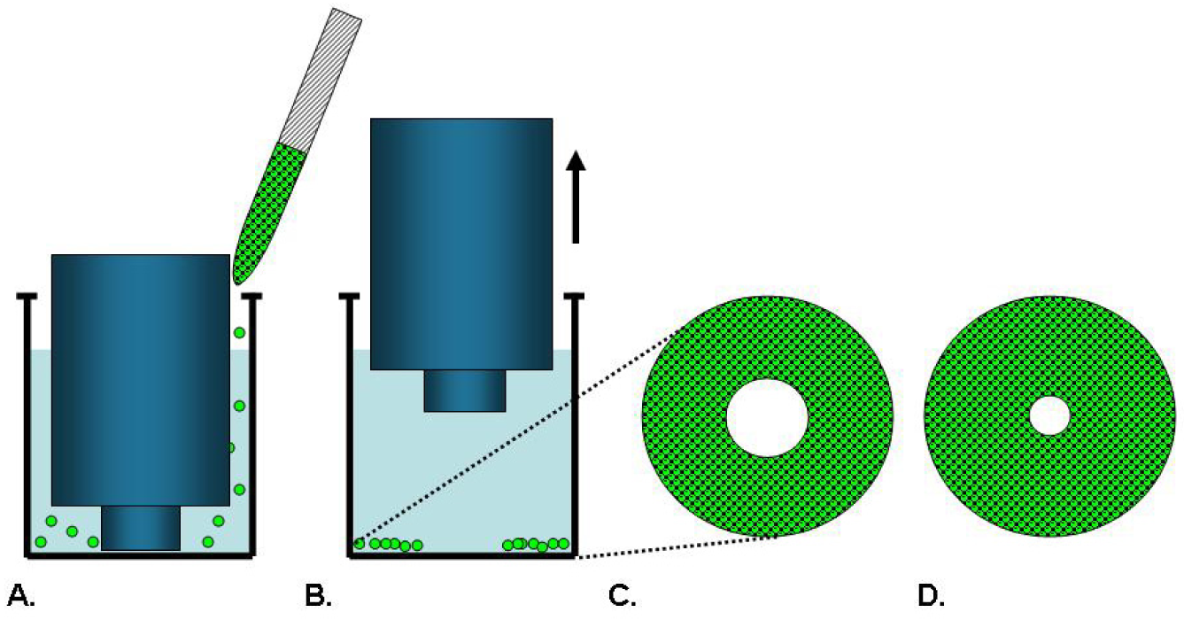 Cell Migration and Invasion Assays as Tools for Drug Discovery