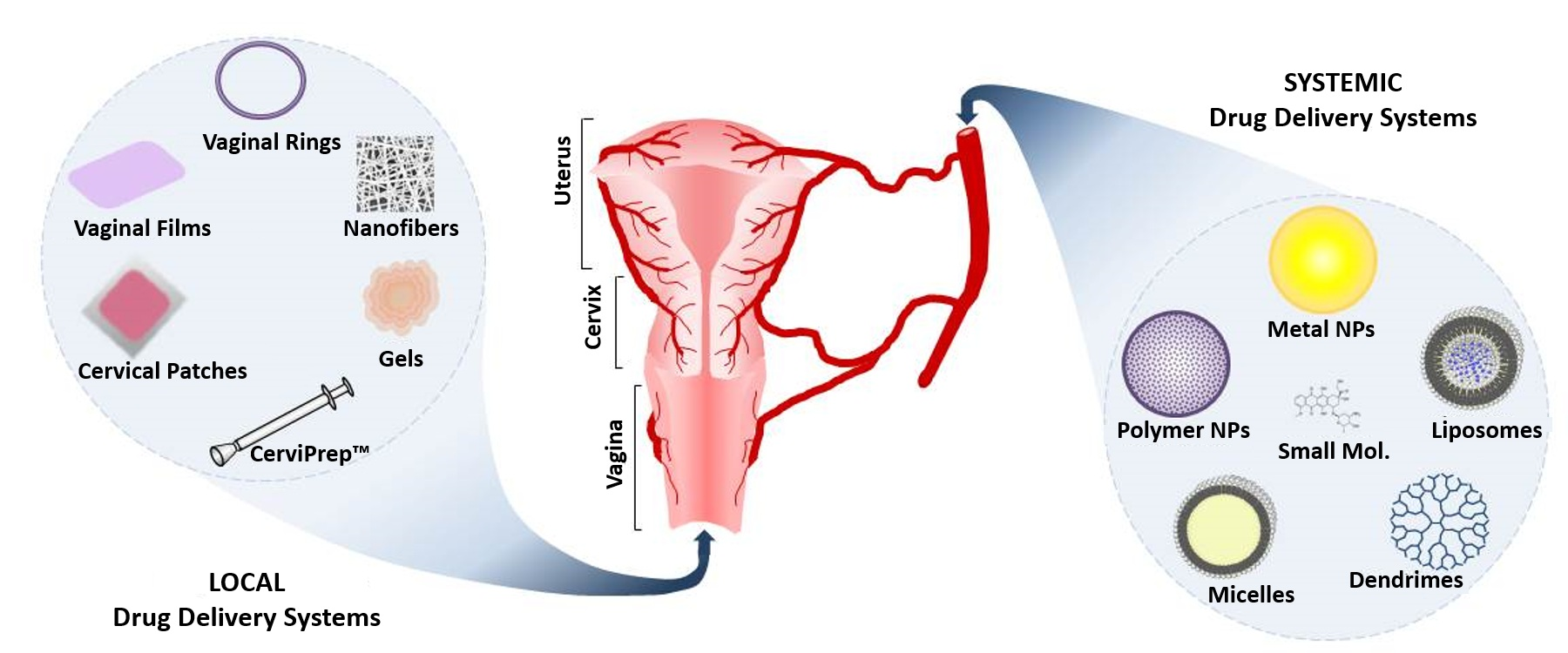 Pharmaceutics | Free Full-Text | Drug Delivery Approaches for the ...