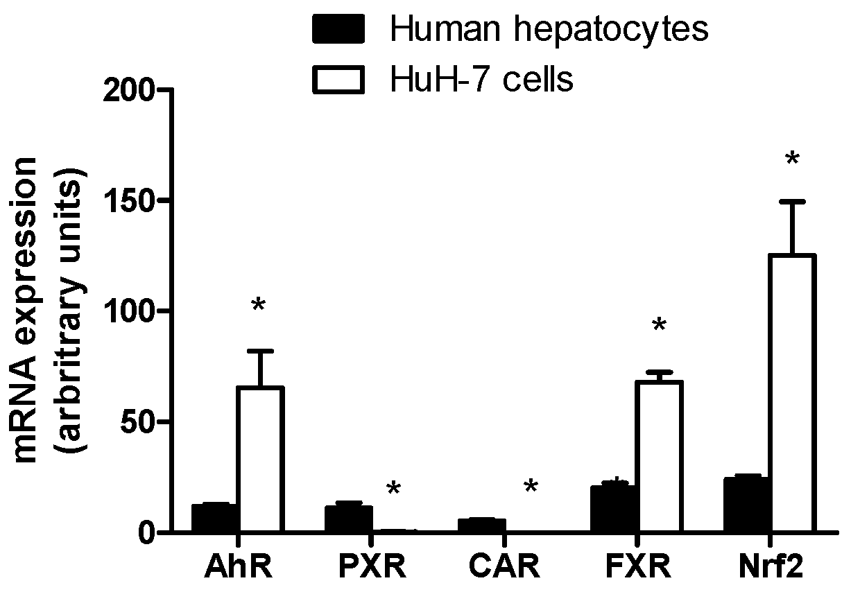 Drug Transporter Expression and Activity in Human Hepatoma HuH-7 Cells