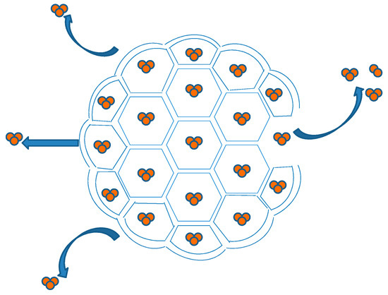 Liposomal Formulations in Clinical Use: An Updated Review