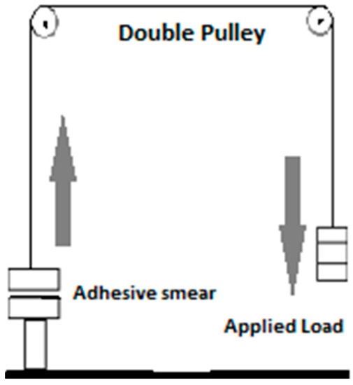 Pharmaceutics | Free Full-Text | An Evaluation of the Binding Strength ...