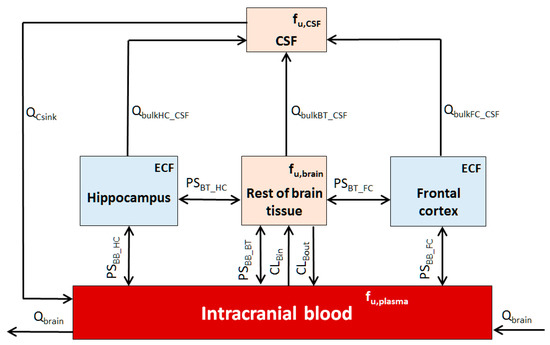 Development of a Region-Specific Physiologically Based Pharmacokinetic ...