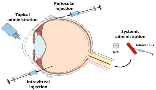 Review of Intraocular Pharmacokinetics of Anti-Infectives Commonly Used ...