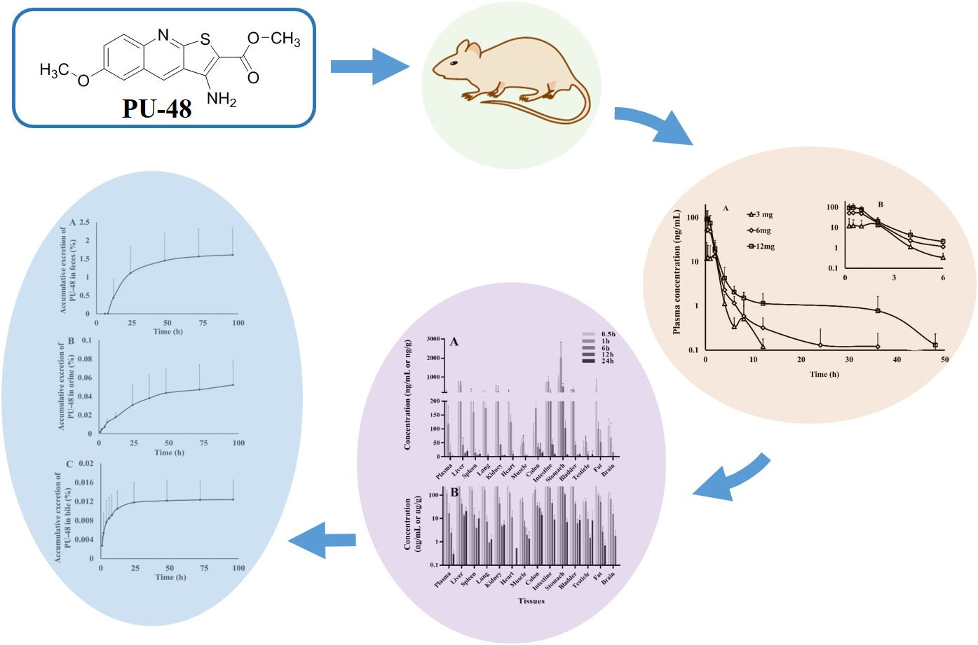 Image Guided Biodistribution And Pharmacokinetic Studies