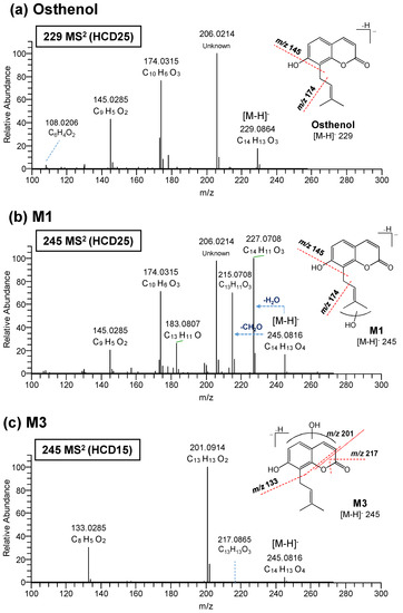 Characterization of CYPs and UGTs Involved in Human Liver Microsomal ...