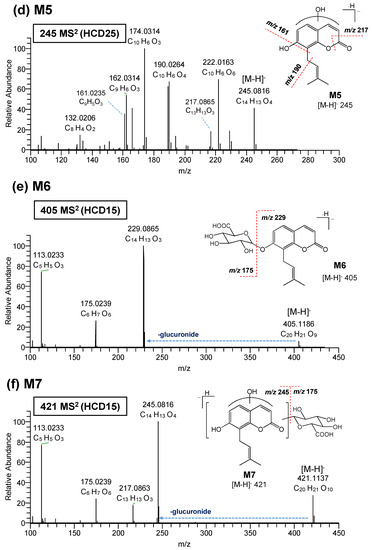 Characterization of CYPs and UGTs Involved in Human Liver Microsomal ...
