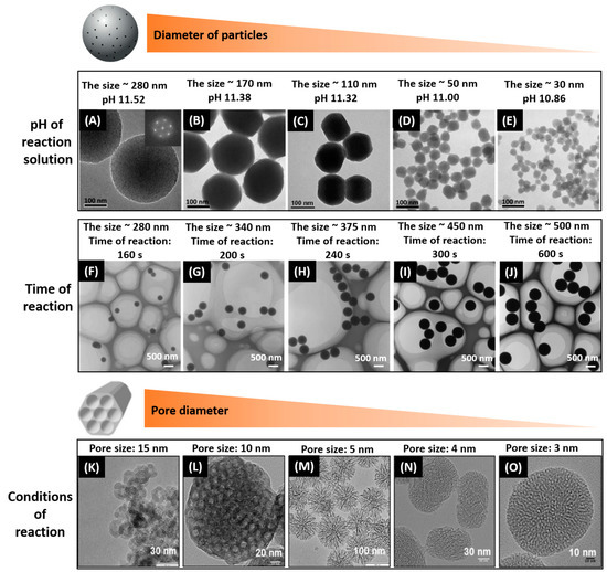 Porous Inorganic Carriers Based on Silica, Calcium Carbonate and ...