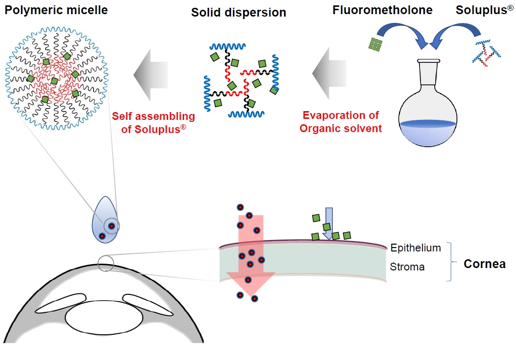 Pharmaceutics | Free Full-Text | Development and Evaluation of a Water ... Pharmaceutics | Free Full-Text | Development and Evaluation of a Water ...