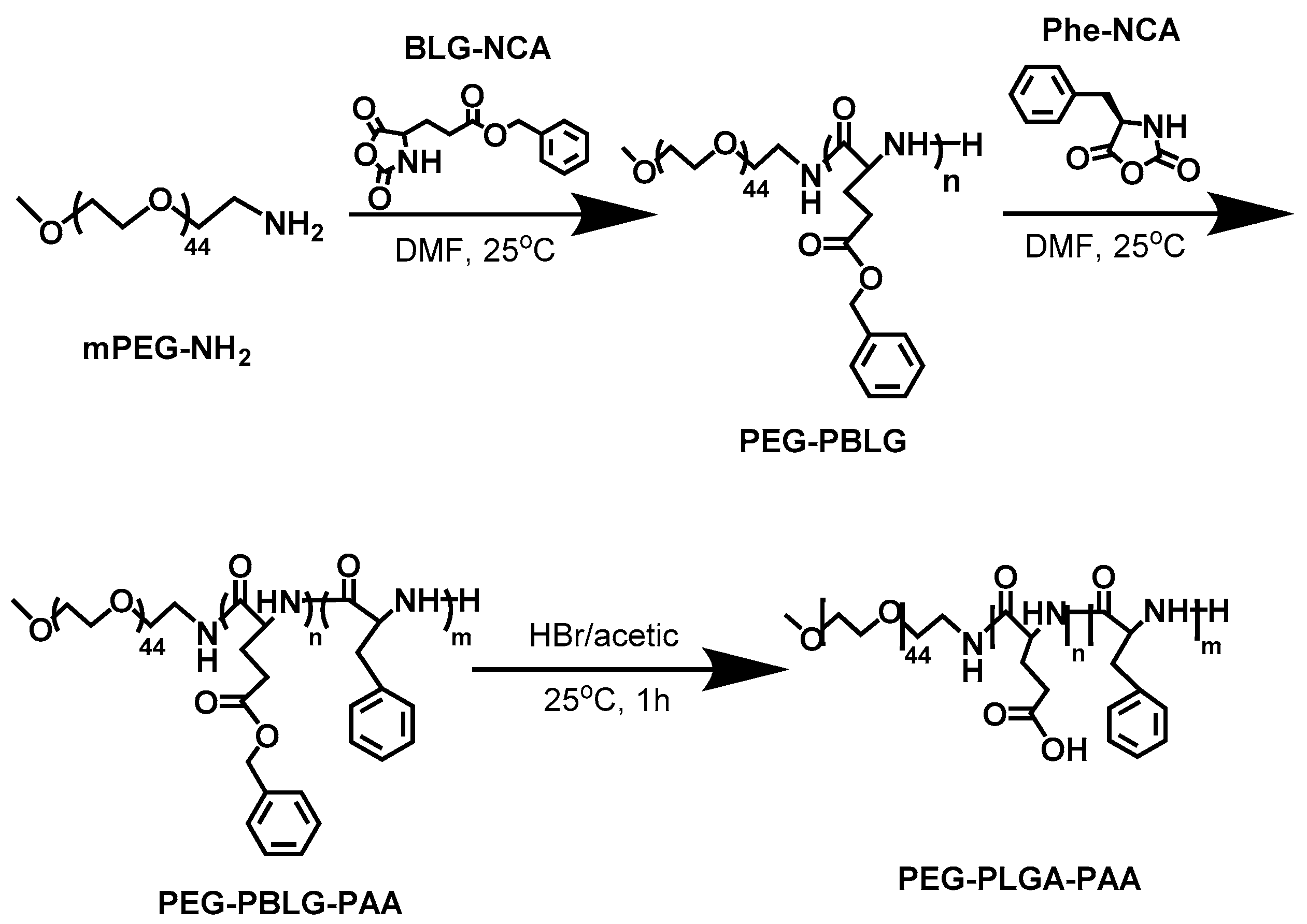 Pharmaceutics | Free Full-Text | Polypeptides Micelles Composed of Methoxy-Poly(Ethylene Glycol ...