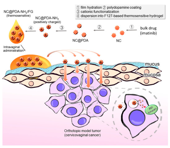 Pharmaceutics | Special Issue : Transmucosal Absorption Enhancers in ...