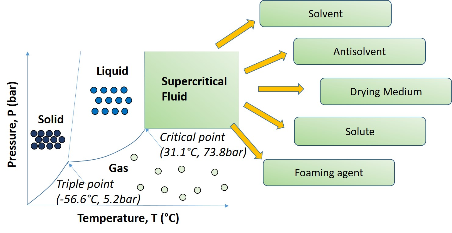 Pharmaceutics | Free Full-Text | Microencapsulation and ...