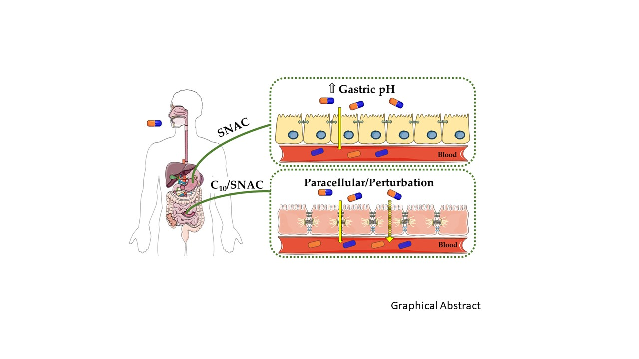 Pharmaceutics | Free Full-Text | Intestinal Permeation Enhancers for ...