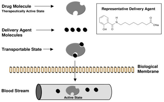 Intestinal Permeation Enhancers for Oral Delivery of Macromolecules: A ...