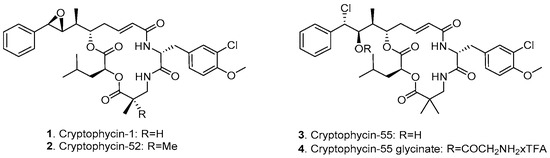 Synthesis and Biological Evaluation of RGD–Cryptophycin Conjugates for ...