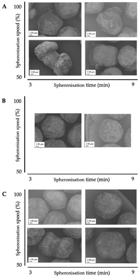 Modelling the Effect of Process Parameters on the Wet Extrusion and ...