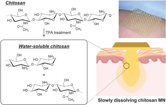 Pharmaceutics | Free Full-Text | Acid-Treated Water-Soluble Chitosan ...