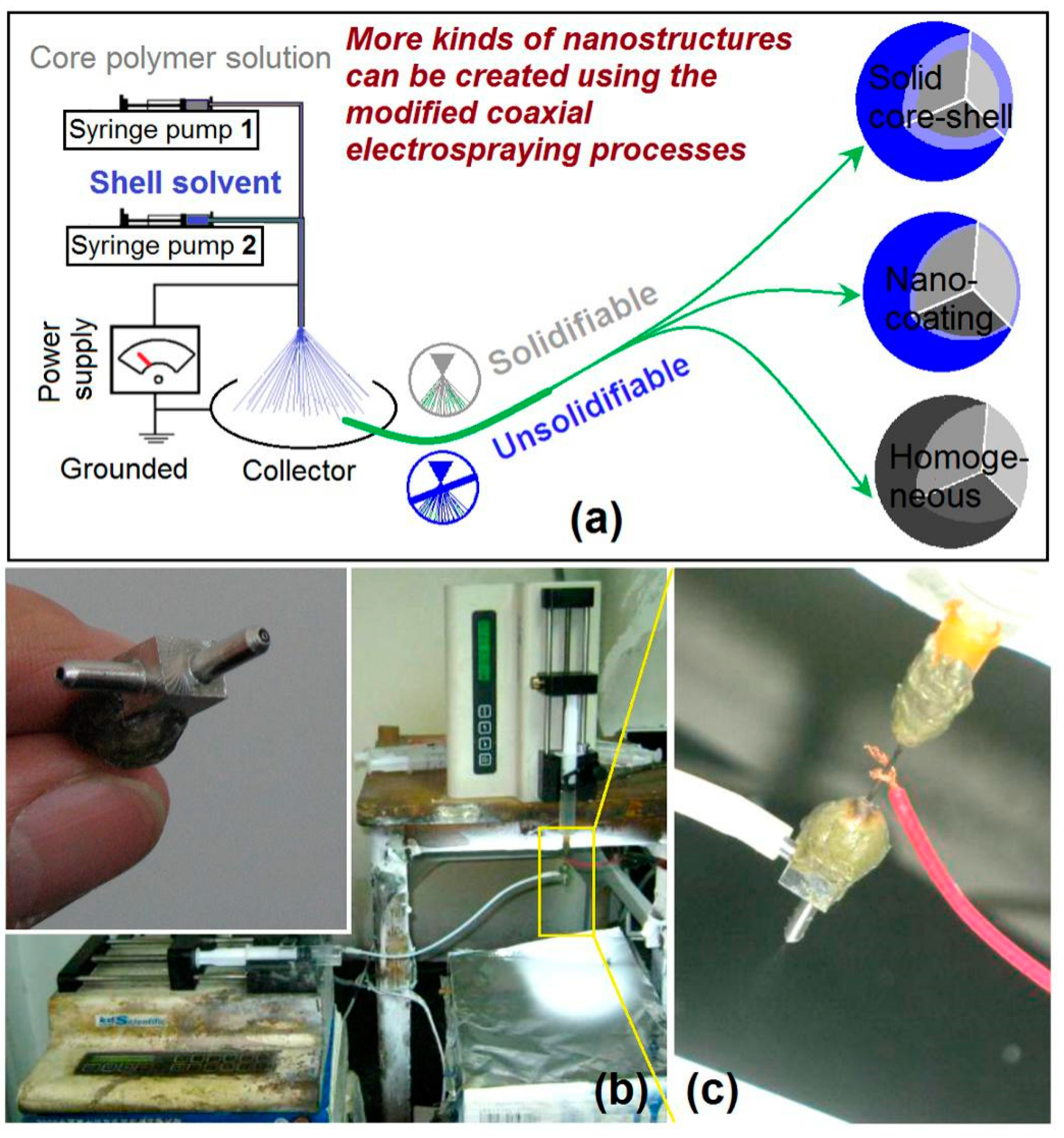 The Process–Property–Performance Relationship of Medicated ...