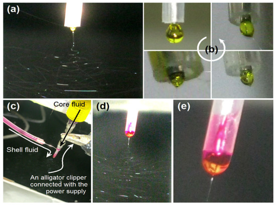 Drug Delivery Applications of Core-Sheath Nanofibers Prepared by ...