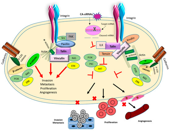 Pharmaceutics | Special Issue : Recombinant Therapeutic Proteins for ...