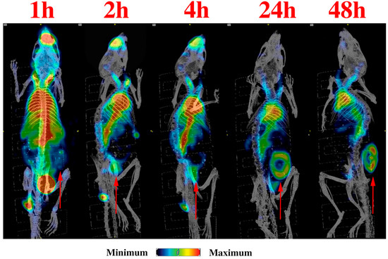 Comparative Radioimmunotherapy of Experimental Melanoma with Novel ...