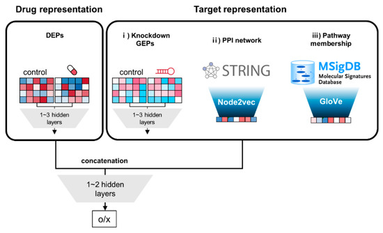 Comparison of Target Features for Predicting Drug-Target Interactions by Deep Neural Network ...